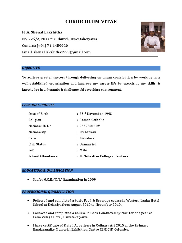 Demi Chef | PDF | Sri Lanka | Cooking
