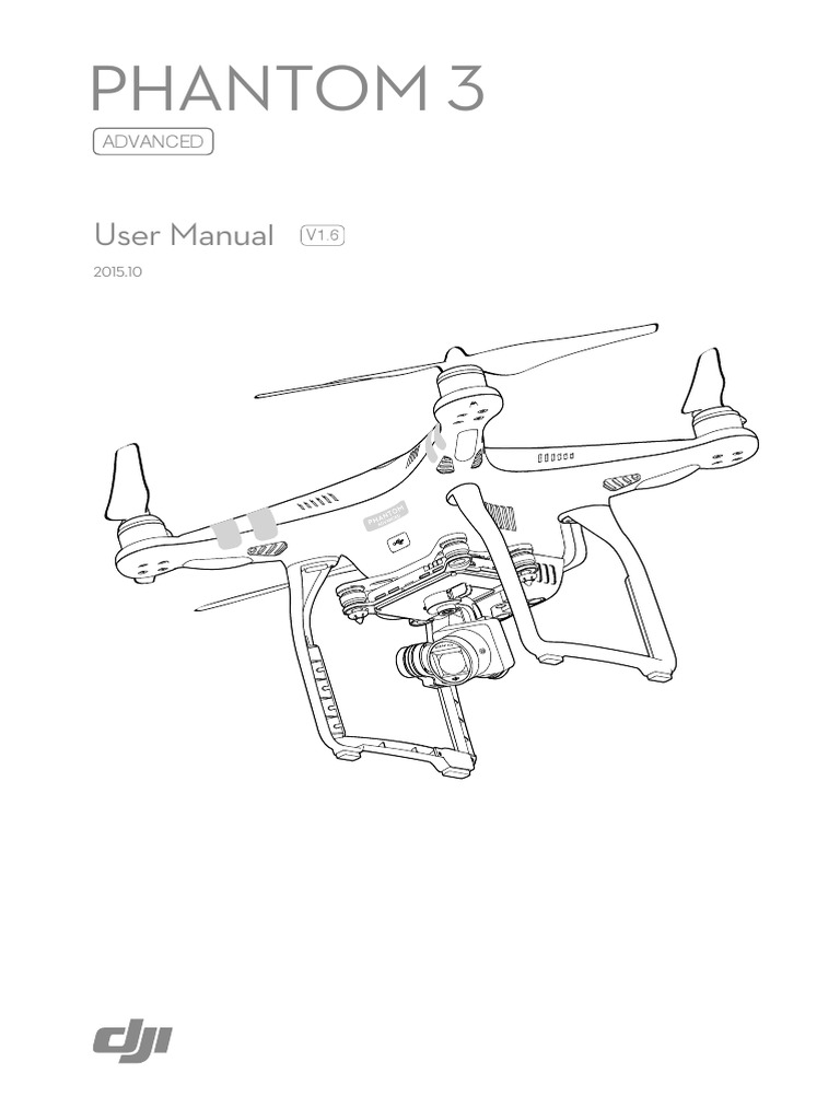 Phantom 3 User Manual Pdf Battery Charger Battery Electricity