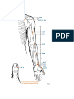 Chapman Points Table | PDF | Anatomical Terms Of Location | Neck