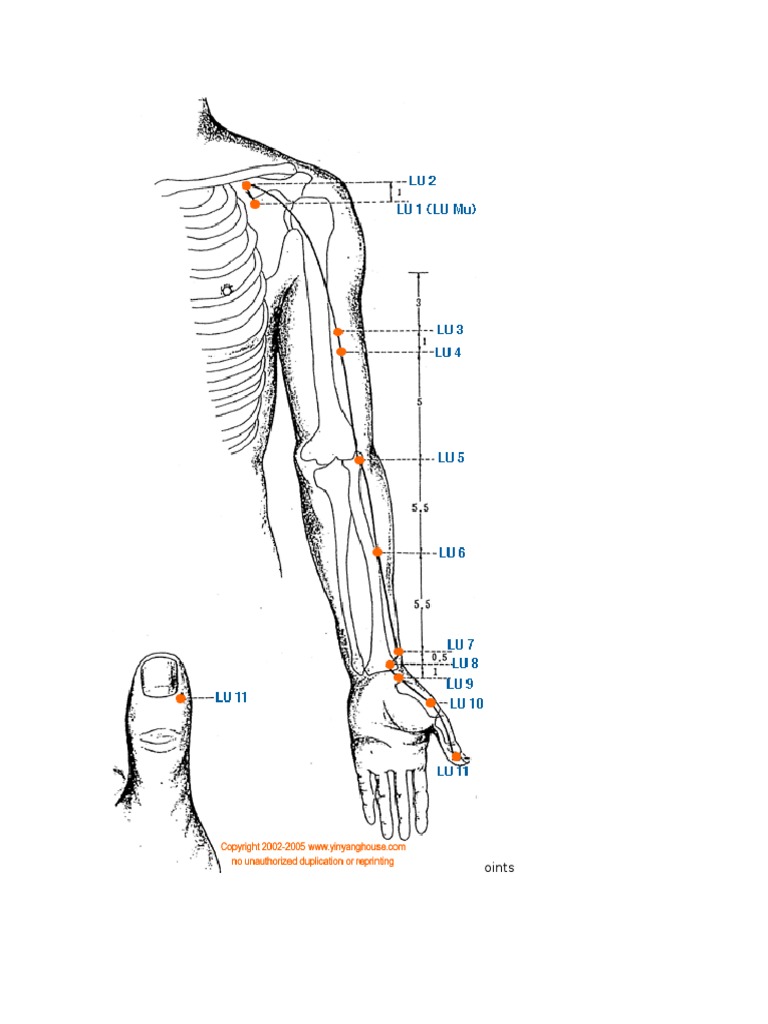 Acupuncturist | Hand | Elbow