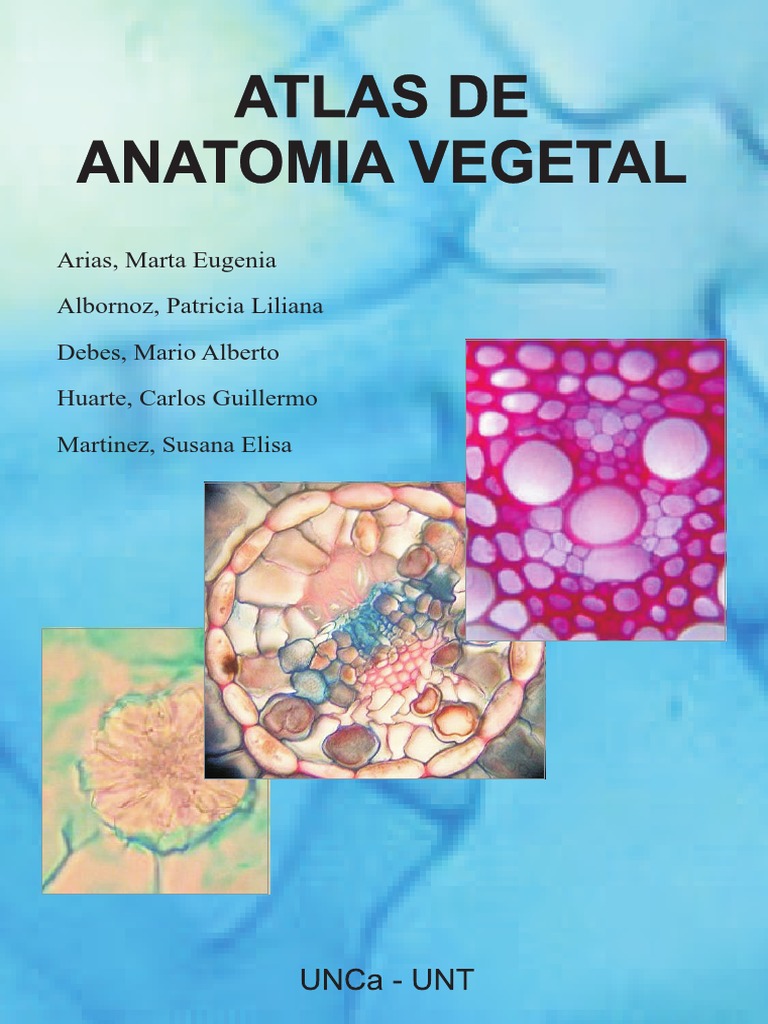 Atlas Anatomia Vegetal | PDF