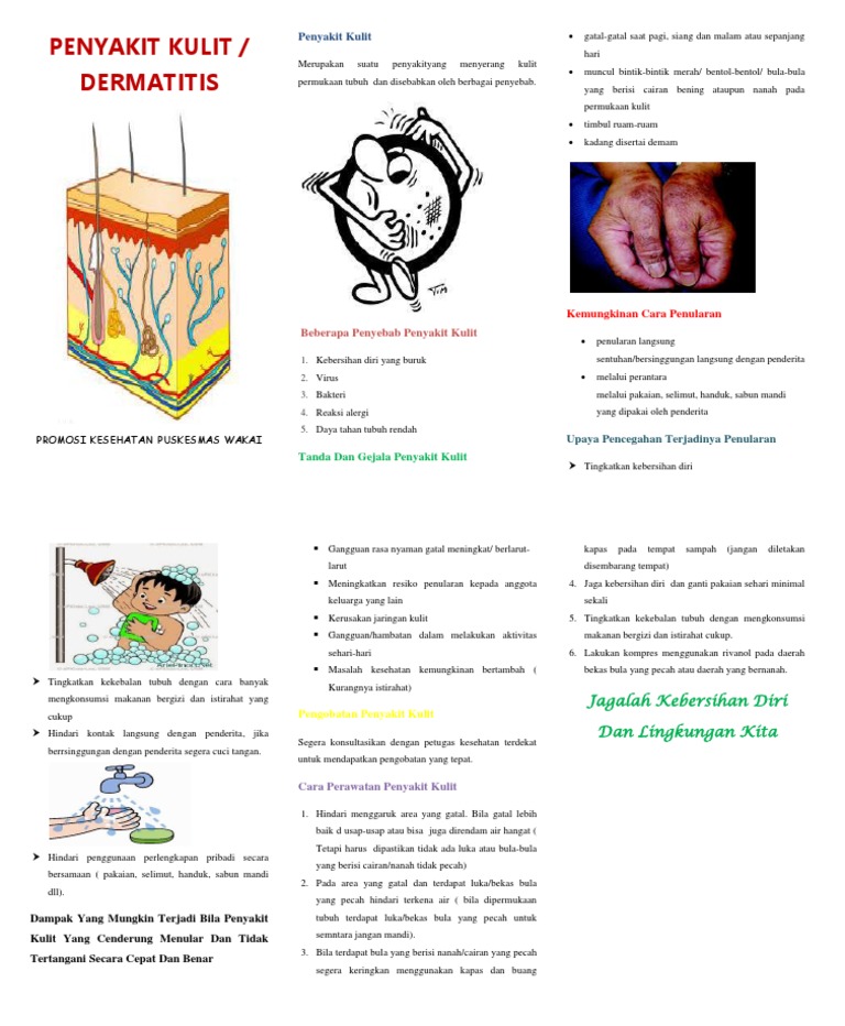Leaflet Dermatitis Pdf