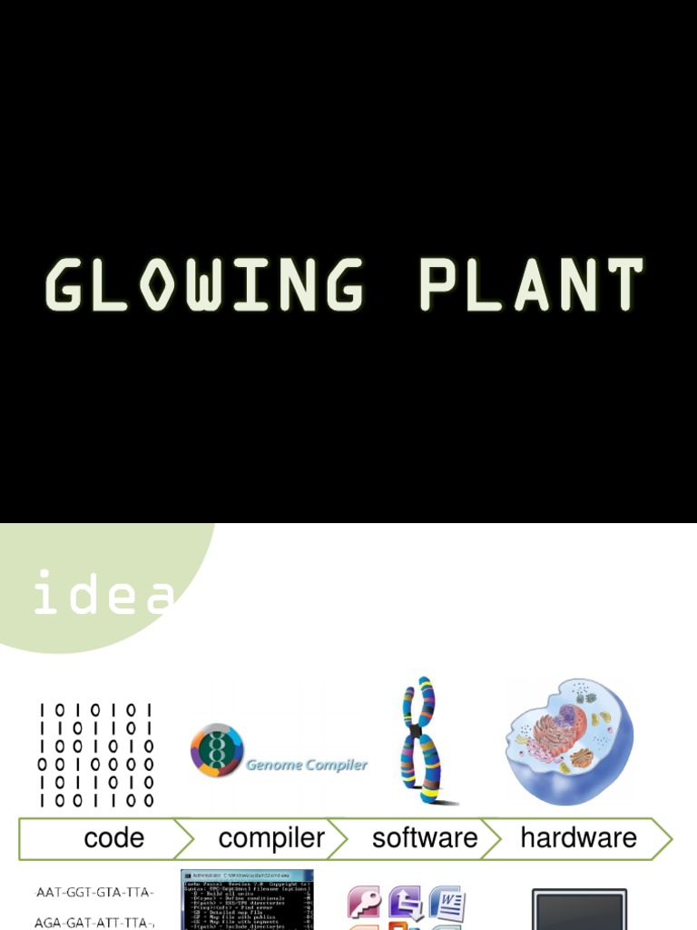 Genetically Modified: Glowing Plant | PDF