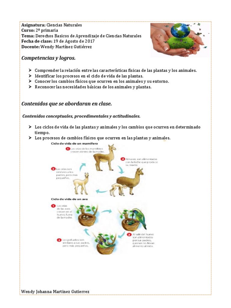Ciclo de Vida de Las Plantas y Animales