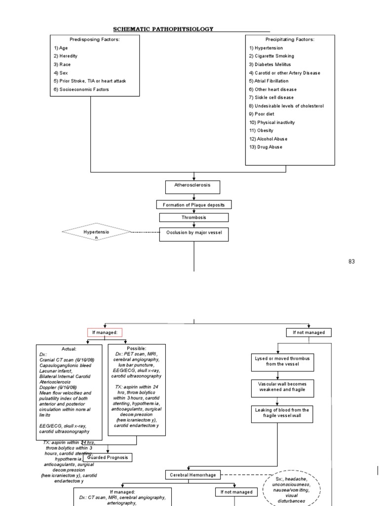 Schematic Pathophysiology CVA | Stroke | Ischemia