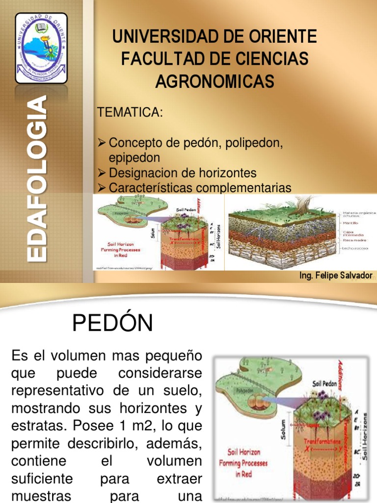 2 Clases Edafologia | Suelo | Minerales | Prueba gratuita de 30 días ...