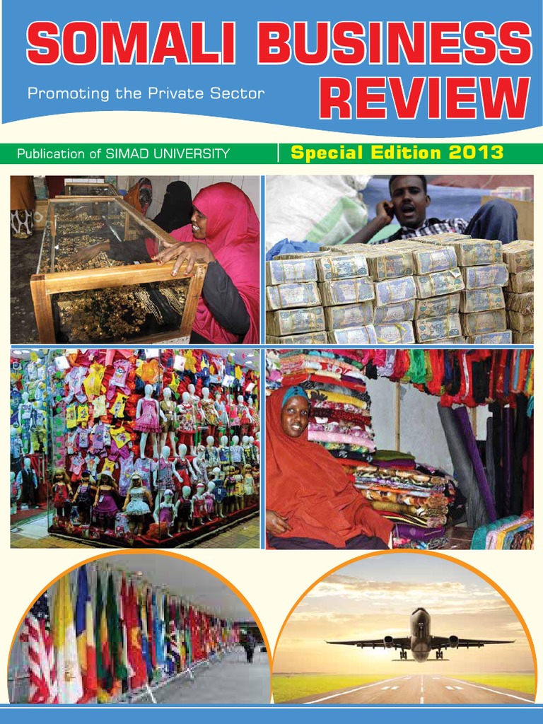 Somali Business Review Special Final Revised | PDF | Public–Private ...