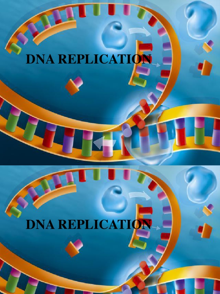 Dna Replication Ppt (2) | Dna Replication | Primer (Molecular Biology)