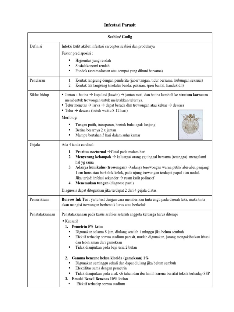 Scabies | PDF | Kesehatan Holistik