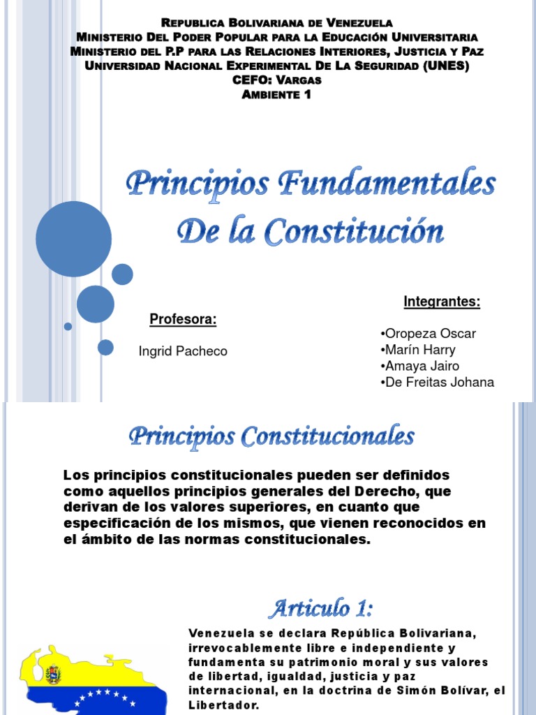 Principios de La Constitucion | PDF | Constitución | Democracia