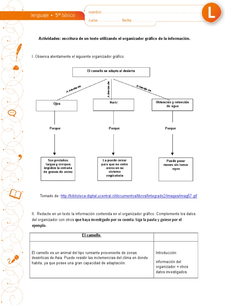 Escritura de Un Texto Utilizando El Organizador Gráfico de La ...