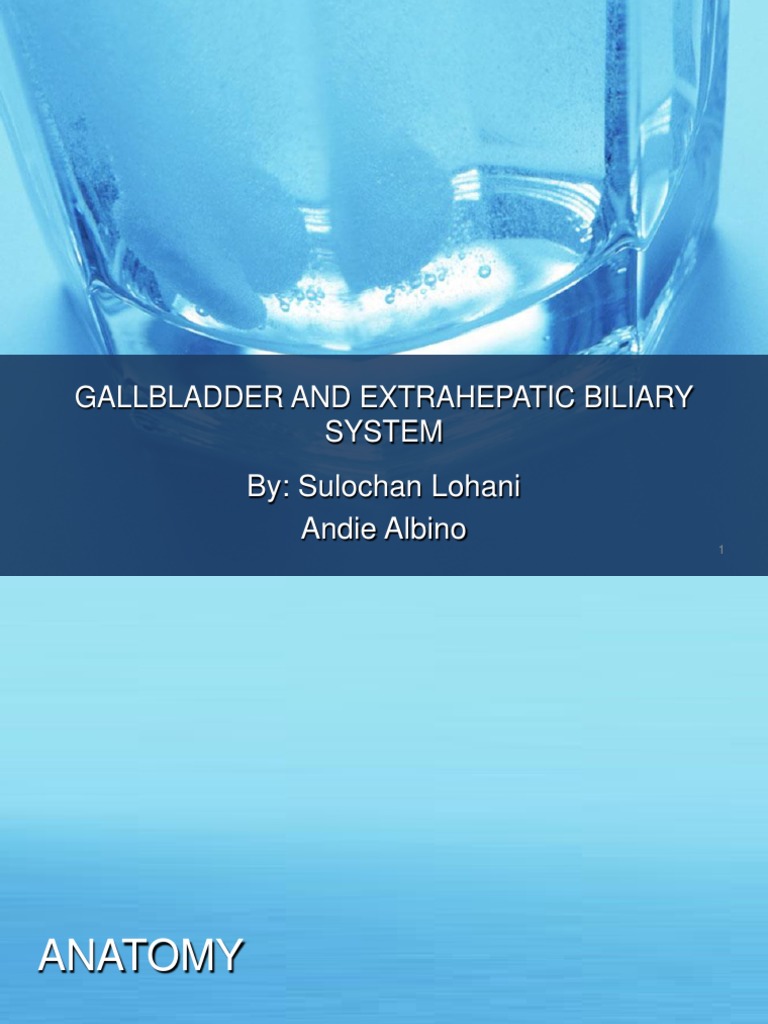 Gallbladder and Extrahepatic Biliary System - Finl | PDF | Gallbladder ...