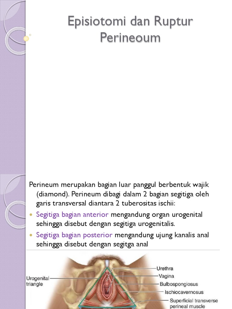 Episiotomi Dan Ruptur Perineoum
