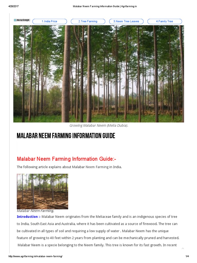 Malabar Neem Farming Information Guide - Agrifarming | PDF | Seed ...