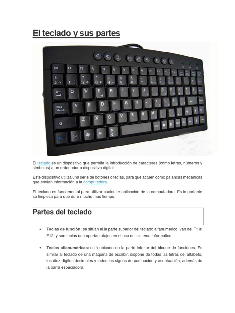 El Teclado y Sus Partes | PDF | Point and Click | Teclado