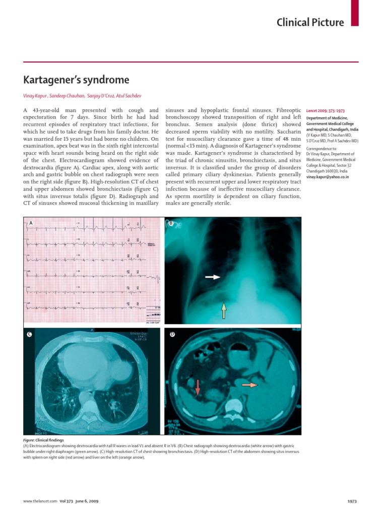 Clinical Picture: Vinay Kapur, Sandeep Chauhan, Sanjay D'Cruz, Atul ...