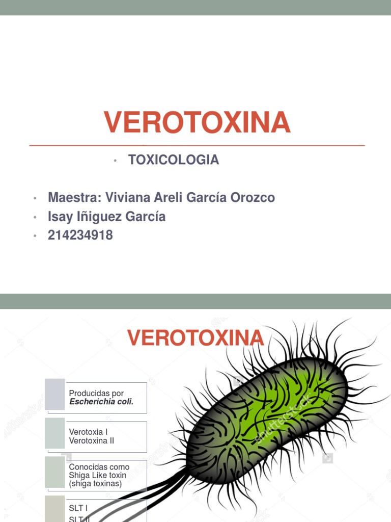 Verotoxina | PDF | Diarrea | Alimentos