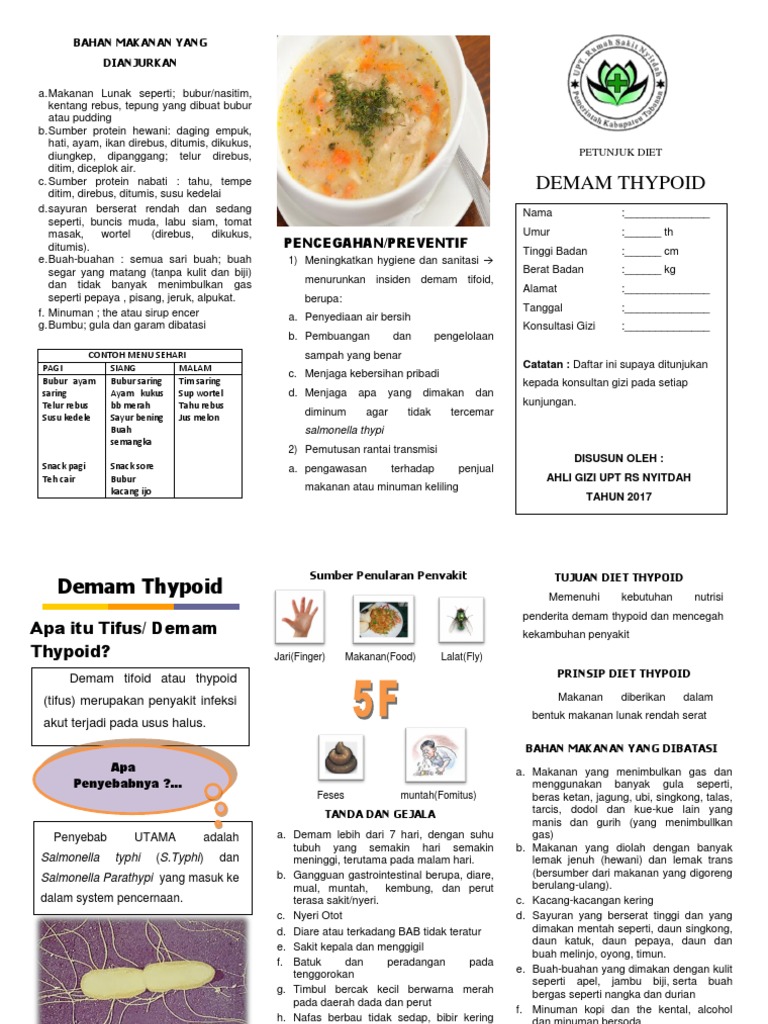 Leaflet Thypoid | PDF