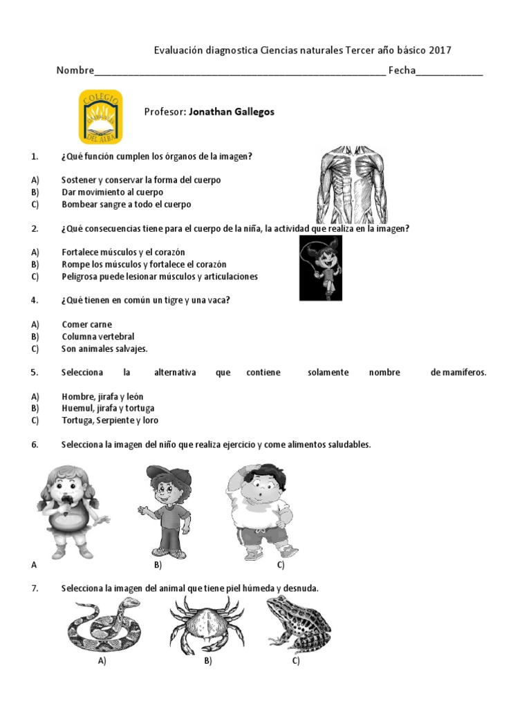 Prueba de Diagnóstico Ciencias Naturales Tercero | PDF | La ...