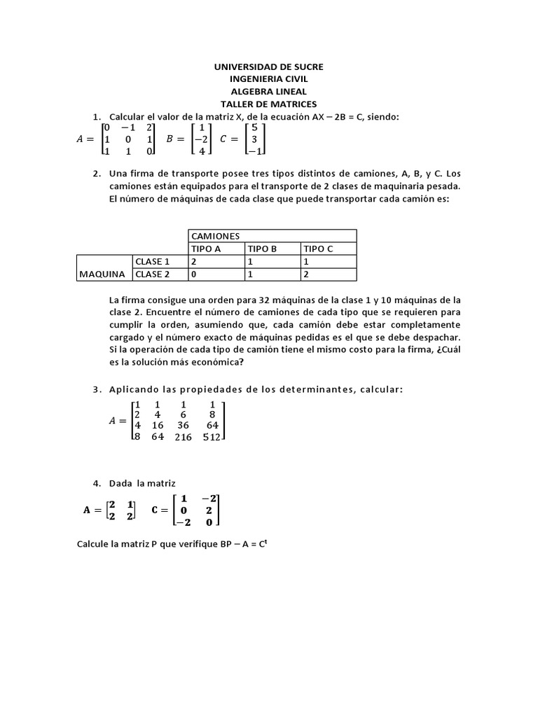Taller Matrices | PDF
