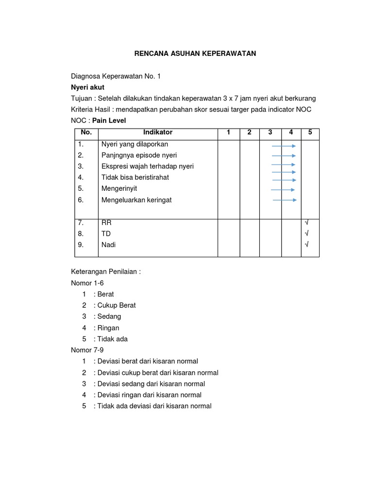 Rencana Asuhan Keperawatan | PDF