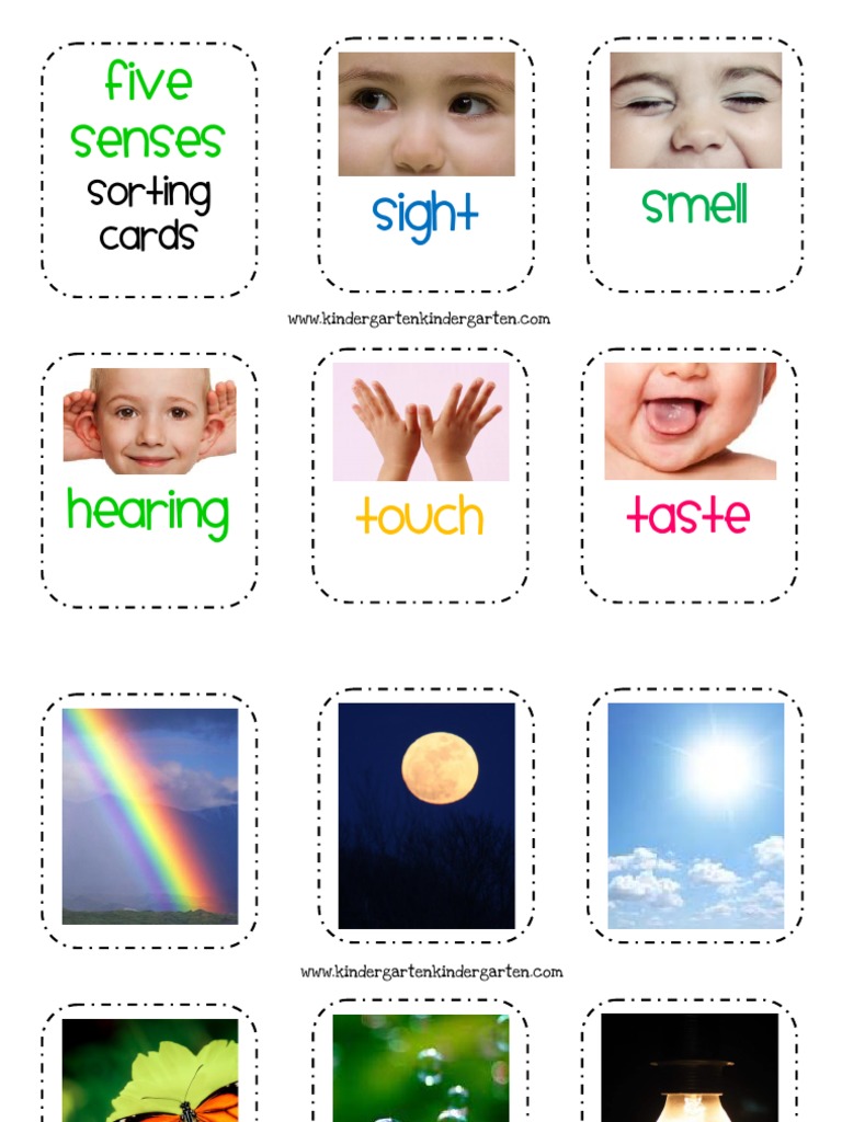 Five Senses Picture Sort PDF | PDF