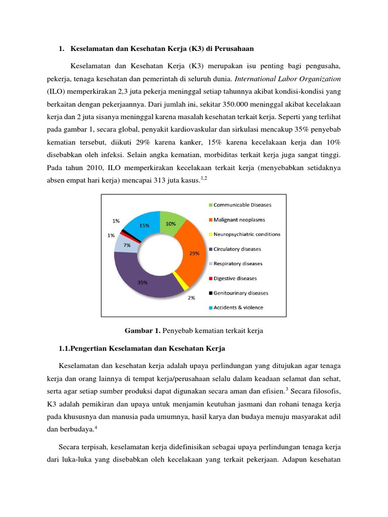 Plant Survey - K3 Di Perusahaan - Rizky | PDF