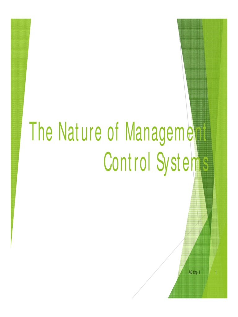 Managemen Control System CHP 1 | PDF | Strategic Management | Goal