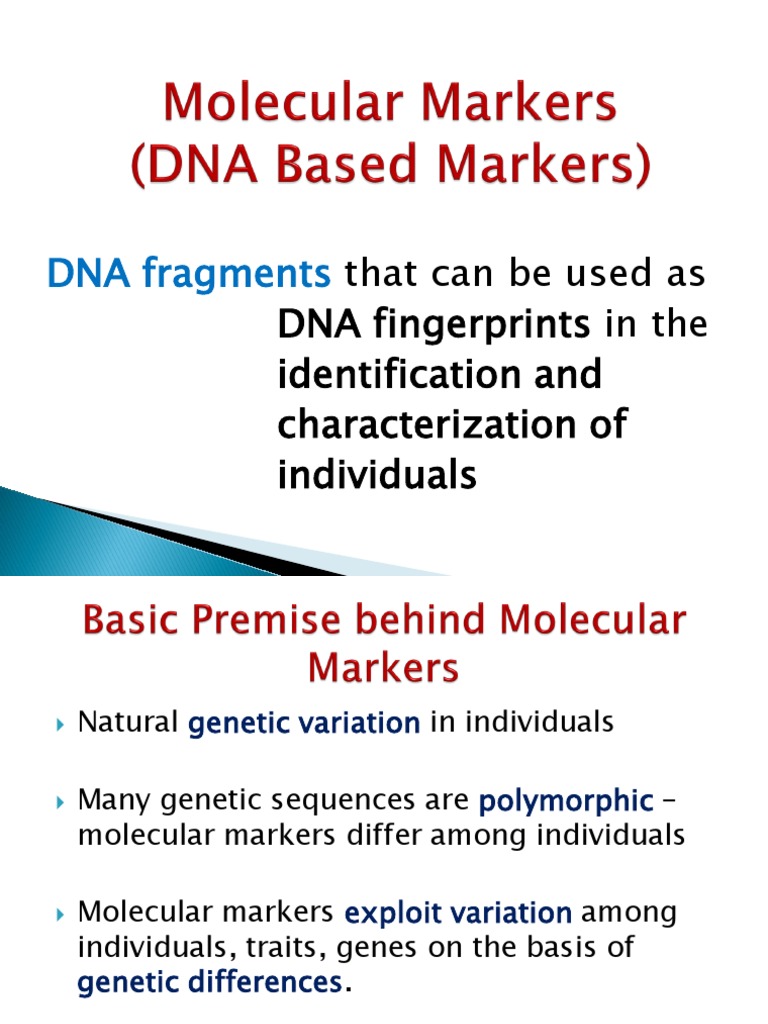 Molecular Markers | PDF | Microsatellite | Nucleotides