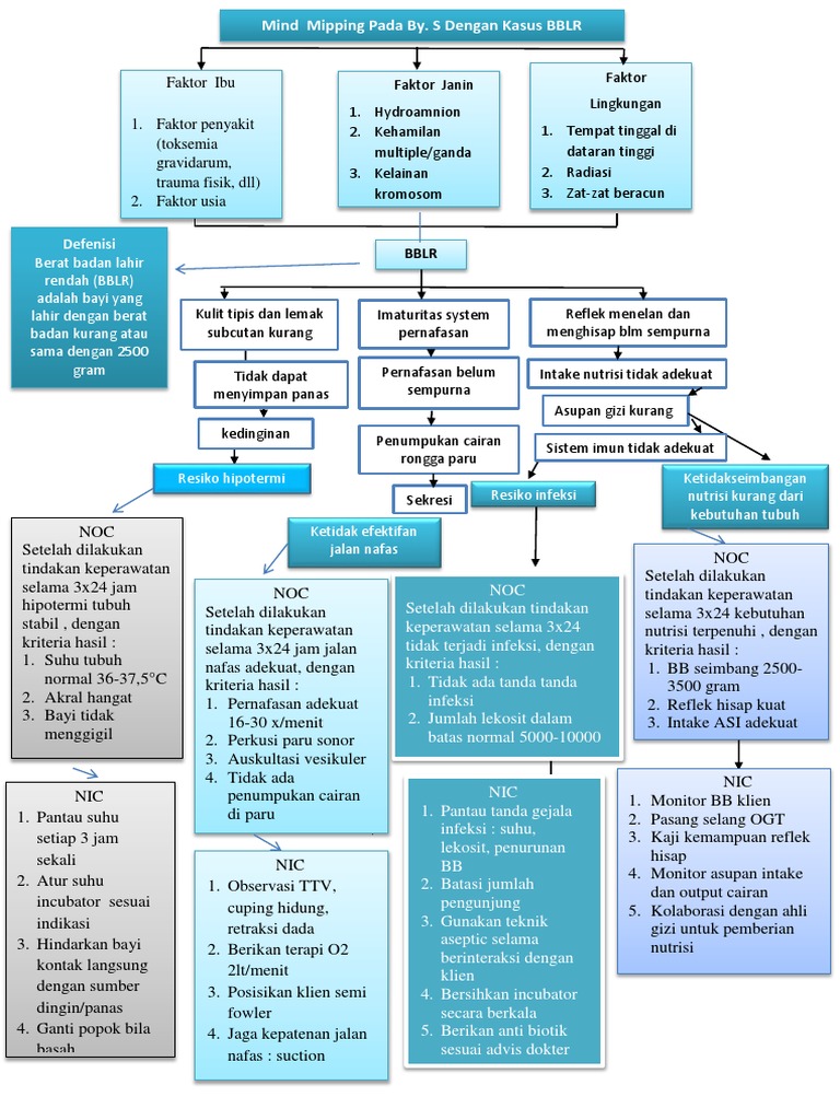 Mind Maping BBLR | PDF