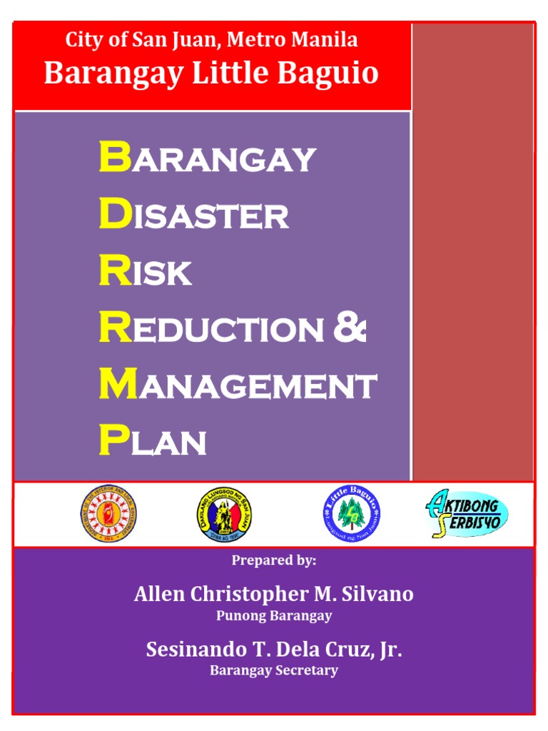Barangay Disaster Risk Reduction Management Plan PDF | Download Free ...