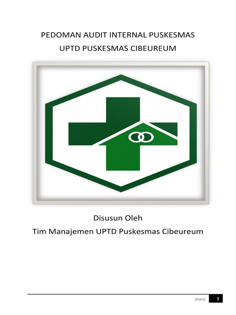 Pedoman Audit Internal Puskesmas | PDF | Bisnis | Pengelolaan Keuangan & Uang