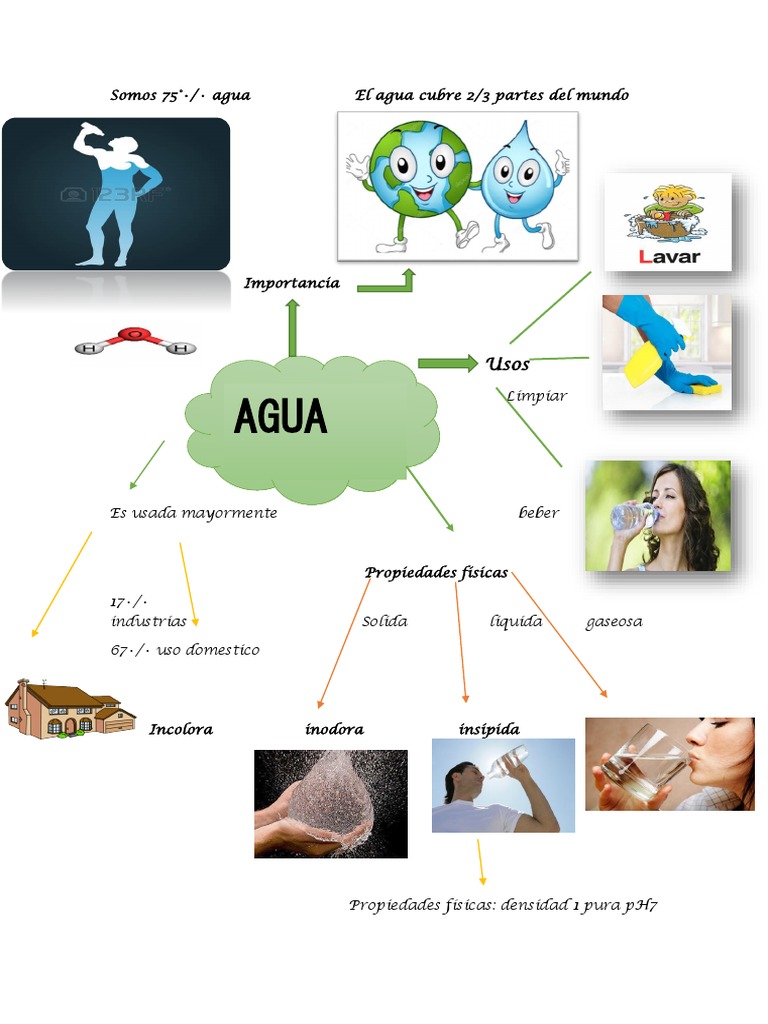 mapa mental agua.docx