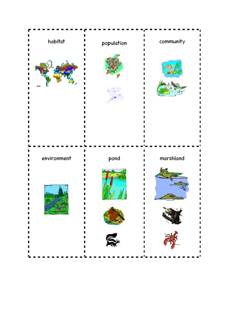 Animal Habitat Overview Flashcards | PDF | Habitat | Trees