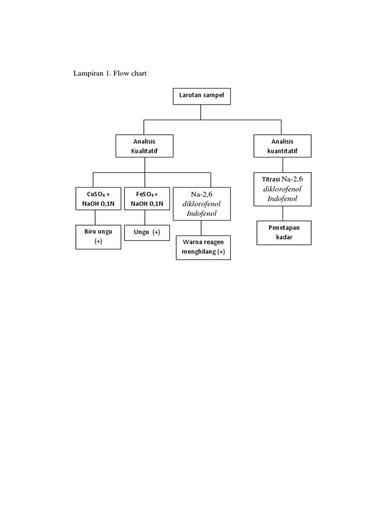 Lampiran 1. Flow Chart: Larutan Sampel | PDF