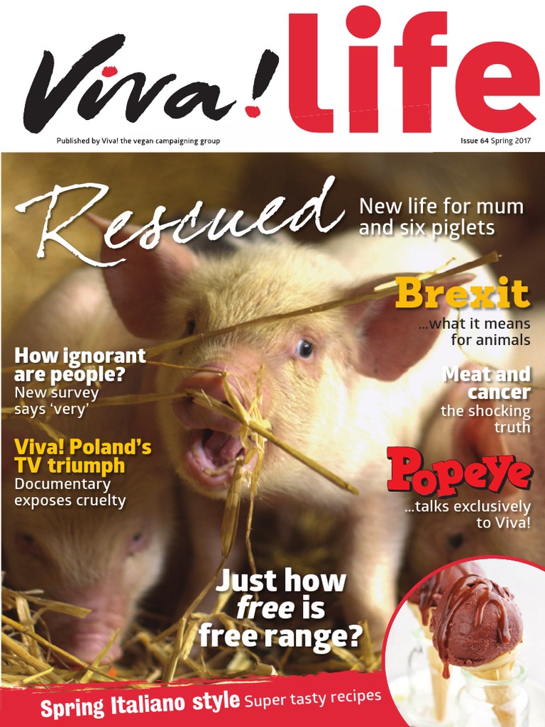 Viva Life Magazine Issue 64 | PDF | Veganism | Vegetarianism