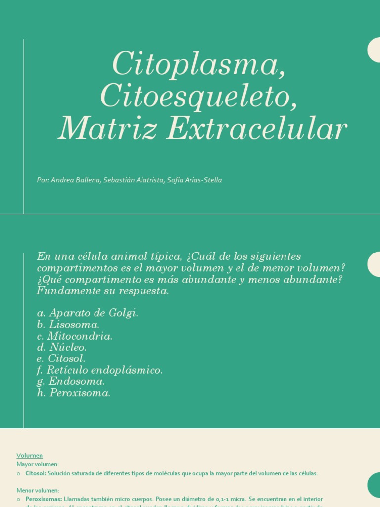 Citoplazma, Citoesqueleto y Matriz Extracelular | PDF | Citoplasma ...