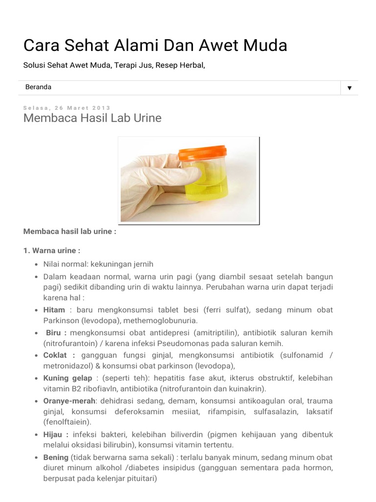 DETEKSI DAN INTERPRETASI PENYAKIT BERDASARKAN HASIL LABORATORIUM URIN | PDF