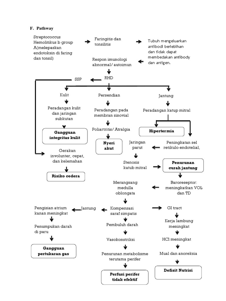 Pathway RHD | PDF