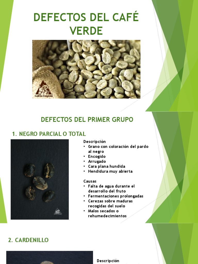 Defectos Del Café Verde | PDF | café | Alimentos