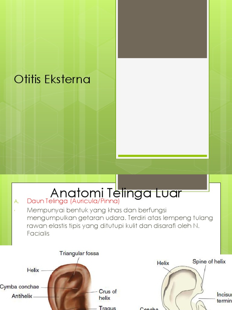 Panduan Lengkap Otitis Eksterna | PDF