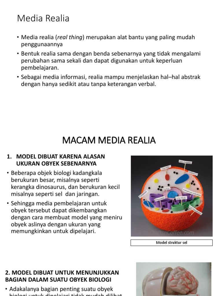 Macam Media Relia | PDF