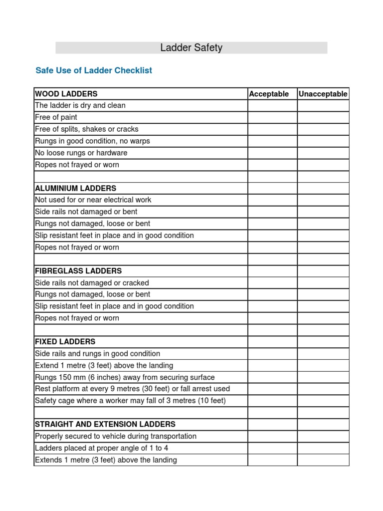 Ladder Safety: Safe Use of Ladder Checklist | PDF | Ladder | Nature