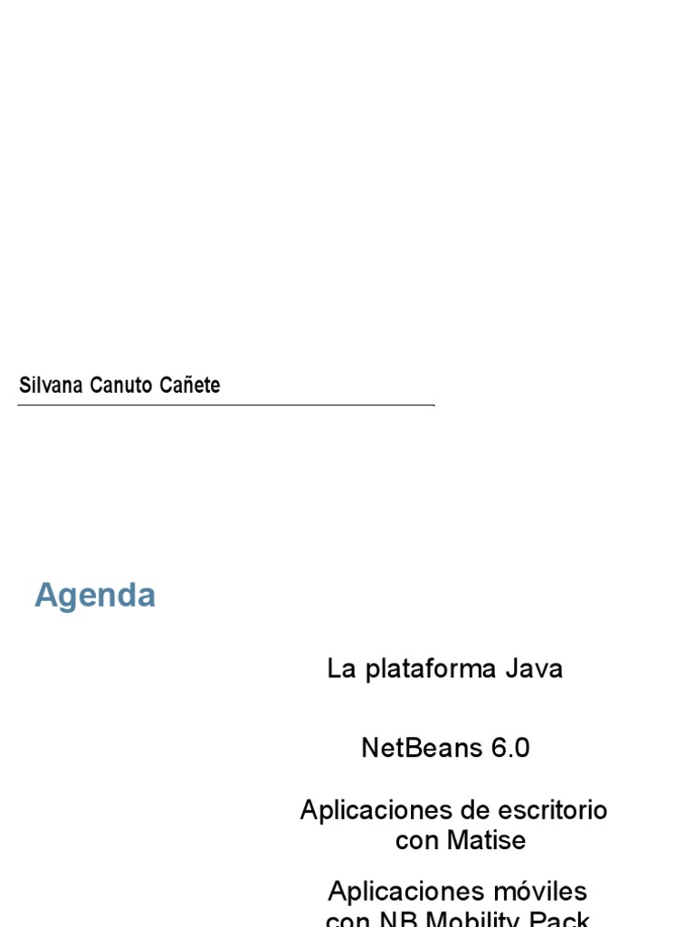 Tecnologias de Java Usando Netbeans | PDF | Java (plataforma de software) | Frijoles Netos