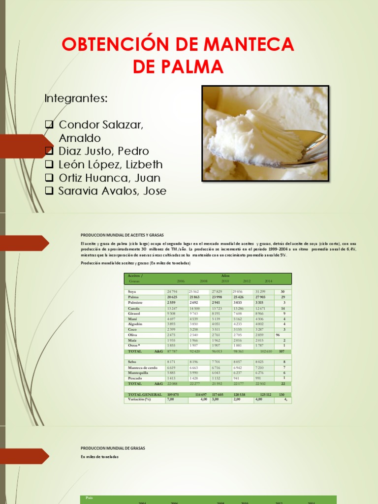 Manteca de Palma | PDF | Petróleo | gordo