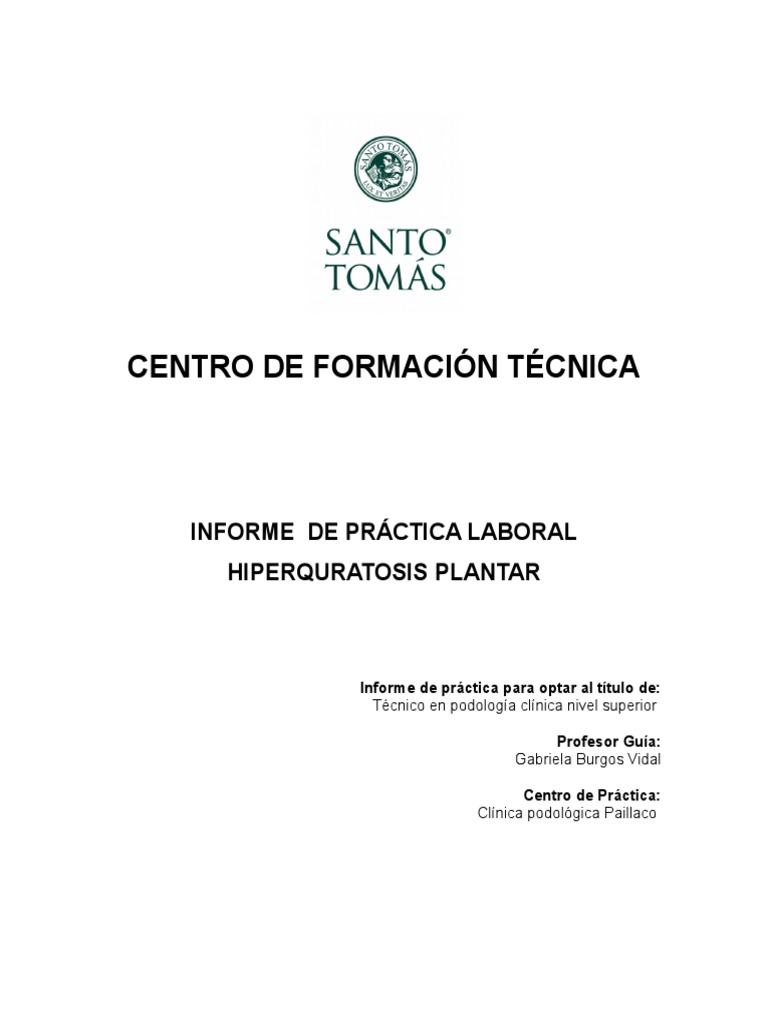 Portada Informe de Practica - CFT | PDF