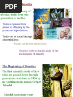 Harry Potter Genetics | PDF | Dominance (Genetics) | Allele