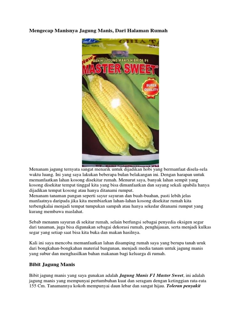 Mengecap Manisnya Jagung Manis | PDF