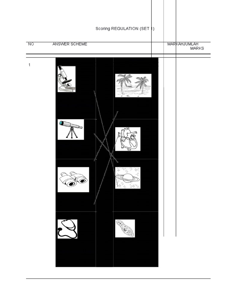 Sc Jawapan Pp Ting 3 Modul 1 Ms En Pdf Lung Nature