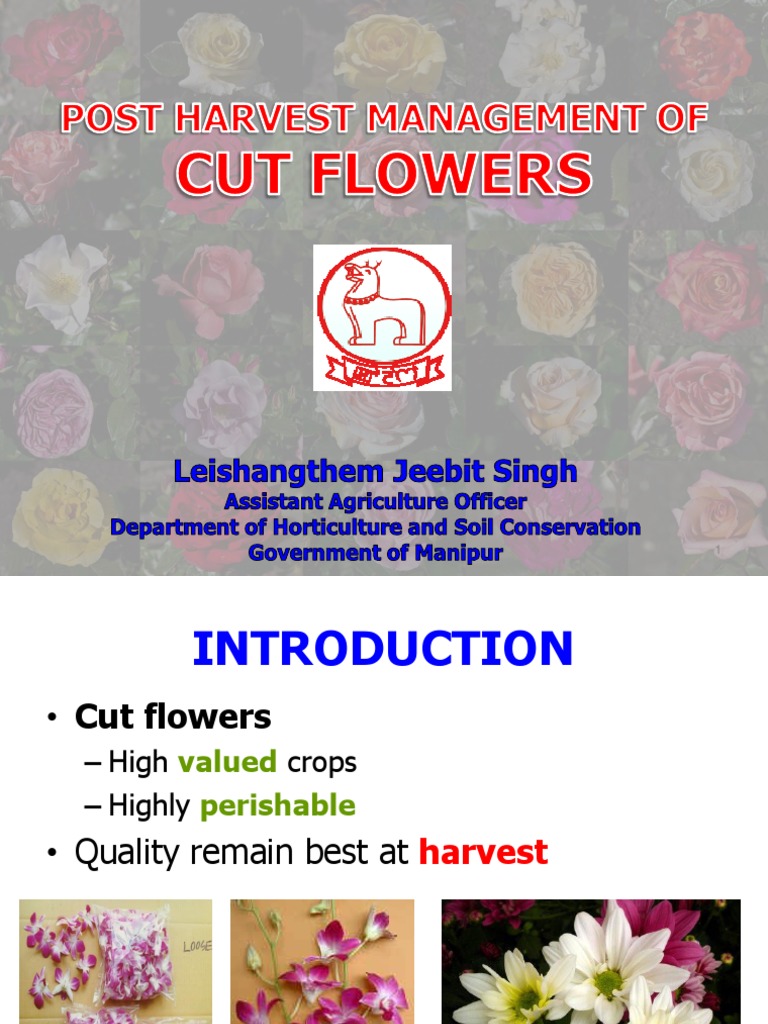 Post-Harvest Care of Cut Flowers | PDF | Flowers | Botany